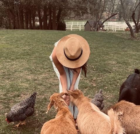 Meet our Goats – MooLa Farm